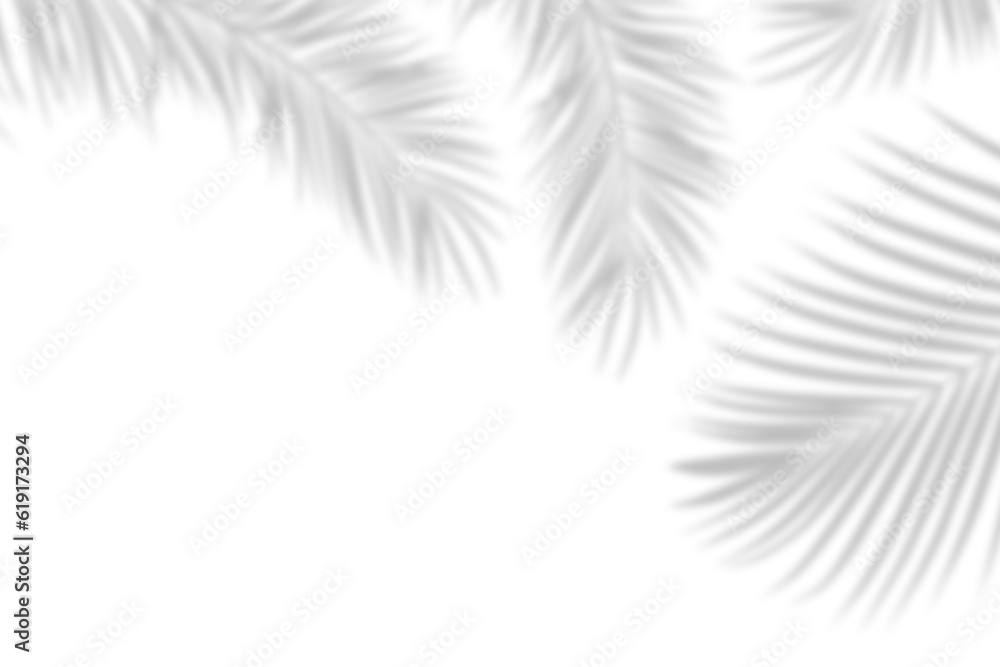 Realistic palm Tree branch leaves moving shadow, sunshade dynamic blow ...