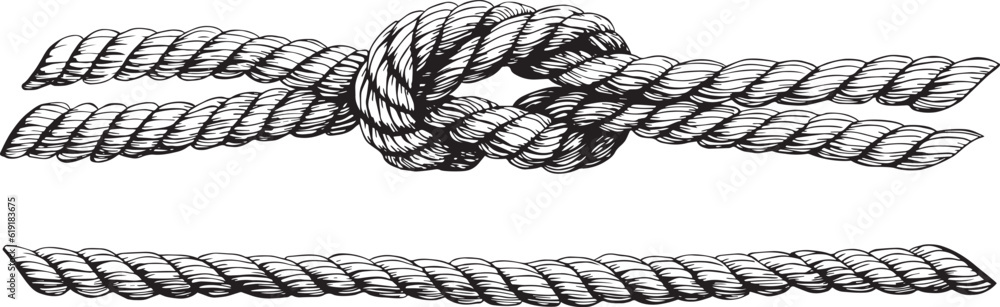 Set of knotted ropes realistic cords knot in vector. Nautical thread ...