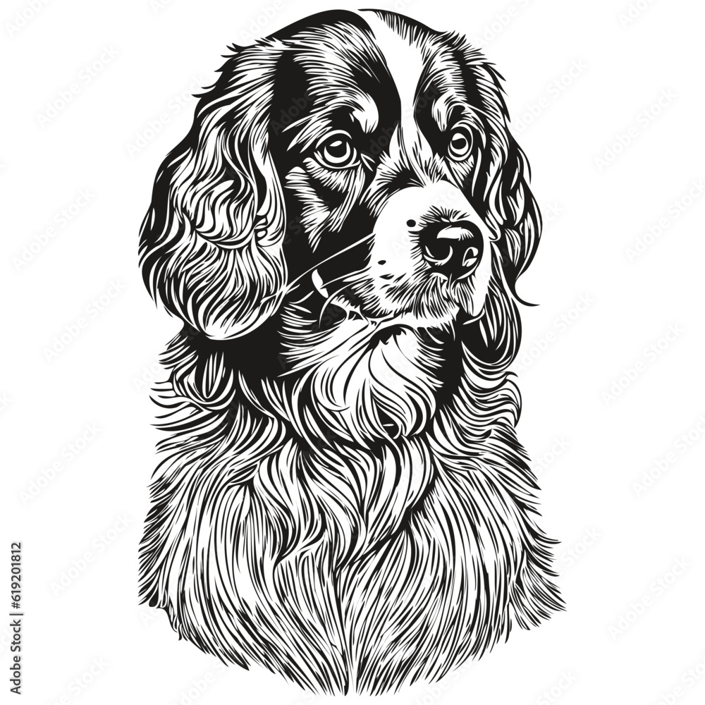 Spaniel Boykin dog pencil hand drawing vector, outline illustration pet ...