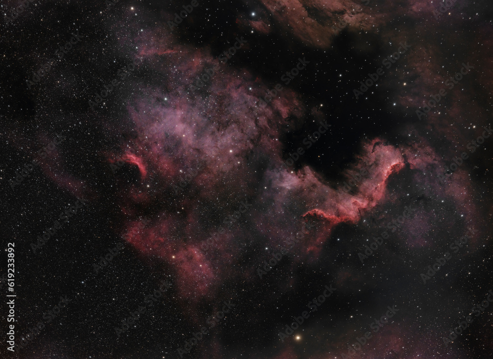 About 2200 light years from Earth, the North America Nebula NGC 7000 is ...