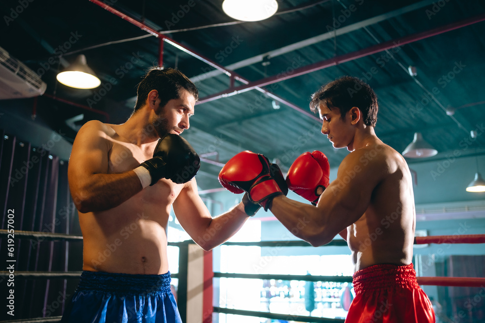 Gym atmosphere, Two professional fighters posing on the sport boxing ...