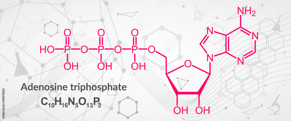 Adenosine triphosphate or ATP molecule, is intracellular energy ... Adenosine triphosphate or ATP molecule, is intracellular energy ...
