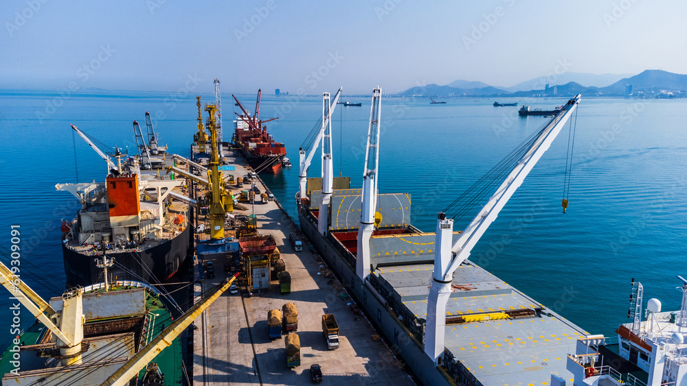 Large container port with cargo ships and gantry cranes Stock Photo ...