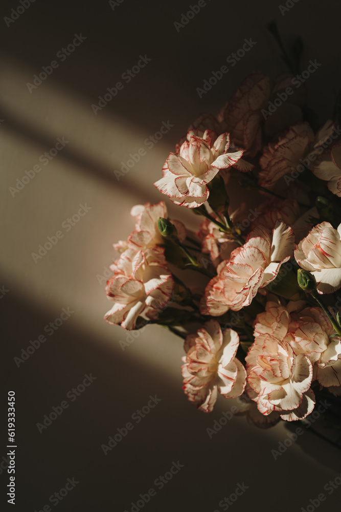 Pink carnation flowers bouquet on tan background with deep sunlight ...
