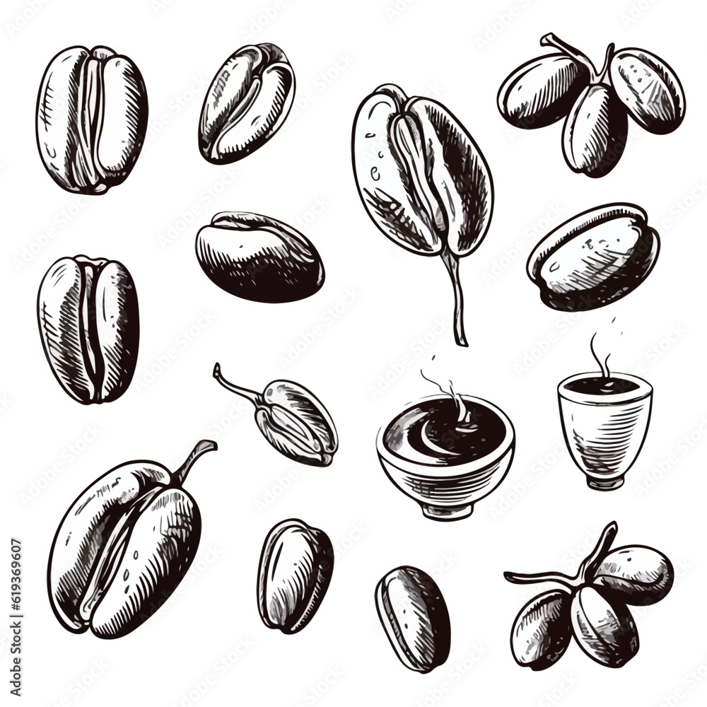 Coffee bean set line art sketch vector illustration. Black and white ...