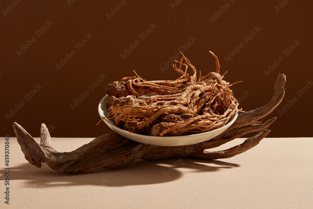 Front view of angelica sinensis roots on round white plate and dry twig ...