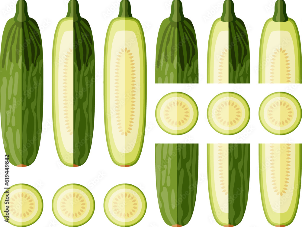Set of Aehobak or Korean zucchini or Korean courgette. Summer squash ...