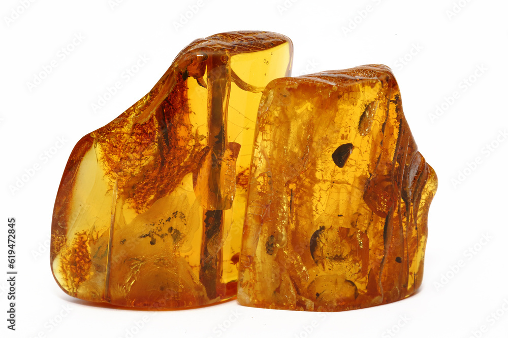 Rare insects in amber on the white background. Sun stone. Fossil ...