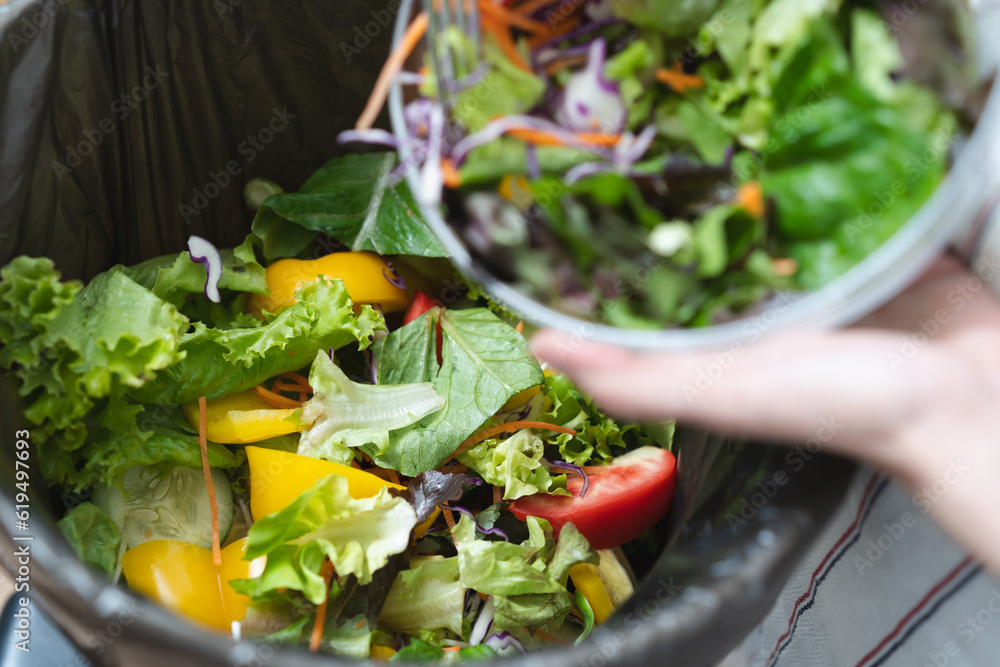 Food waste environment concept, people throwing food garbage into bin ...