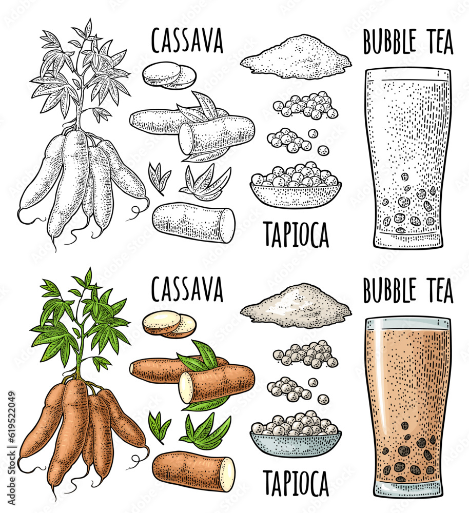 Poster Cassava manioc plants with leaves and tuber – Wall Art | UkPosters