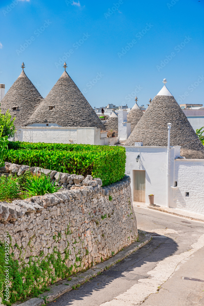 Trullo buildings in Alberobello "beautiful tree"; The Famous town of ...
