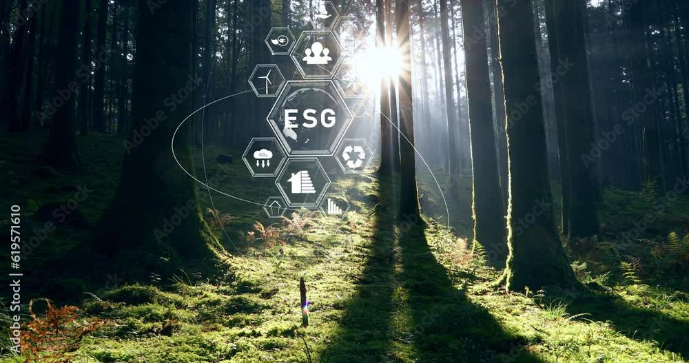 Beautiful forest sunlight with animated ESG icons. Concept ecology and ...