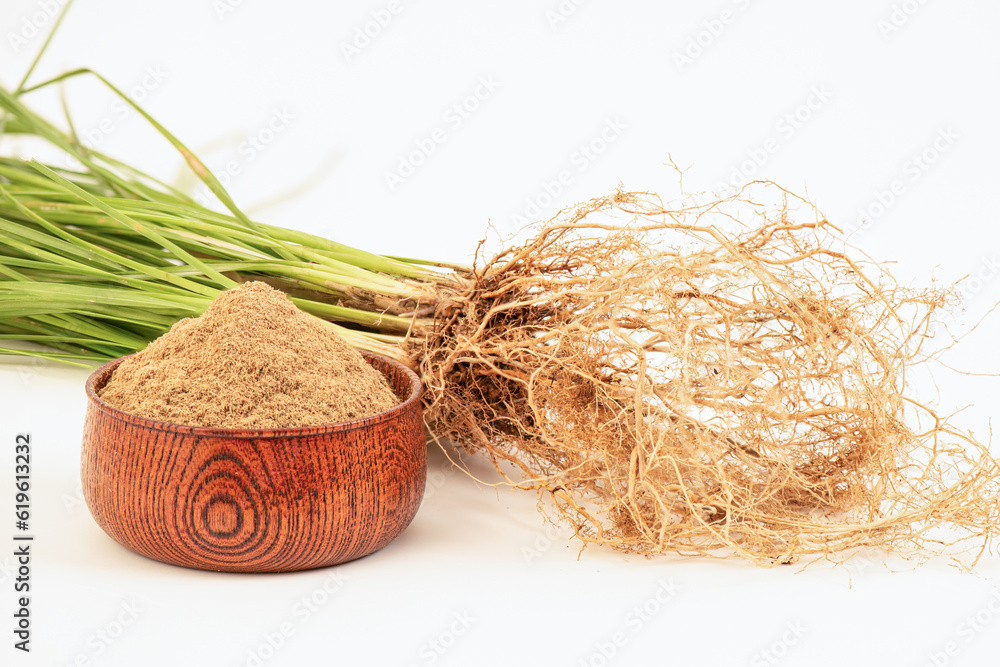 Vetiver grass or Vetiveria zizanioides roots and powder isolated on ...
