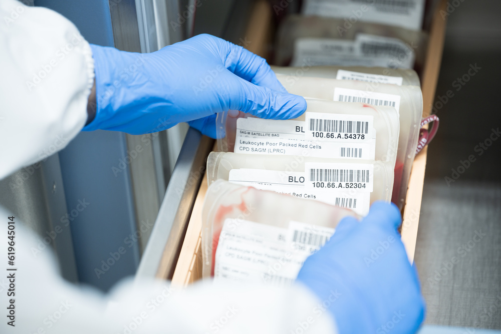 Close up scientist hand holding red blood bag in storage refrigerator ...