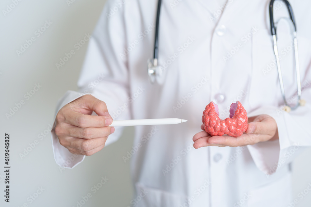 Doctor with human Thyroid anatomy model. Hyperthyroidism ...