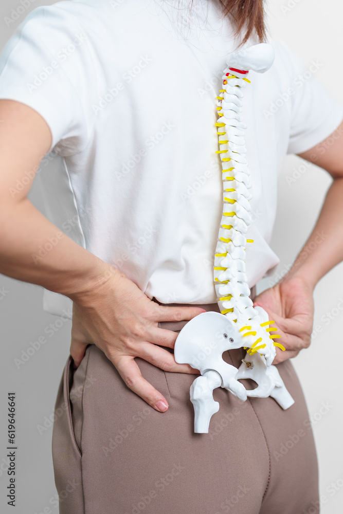 Foto de woman with human Spine anatomy model. Spinal Cord Disorder and ...
