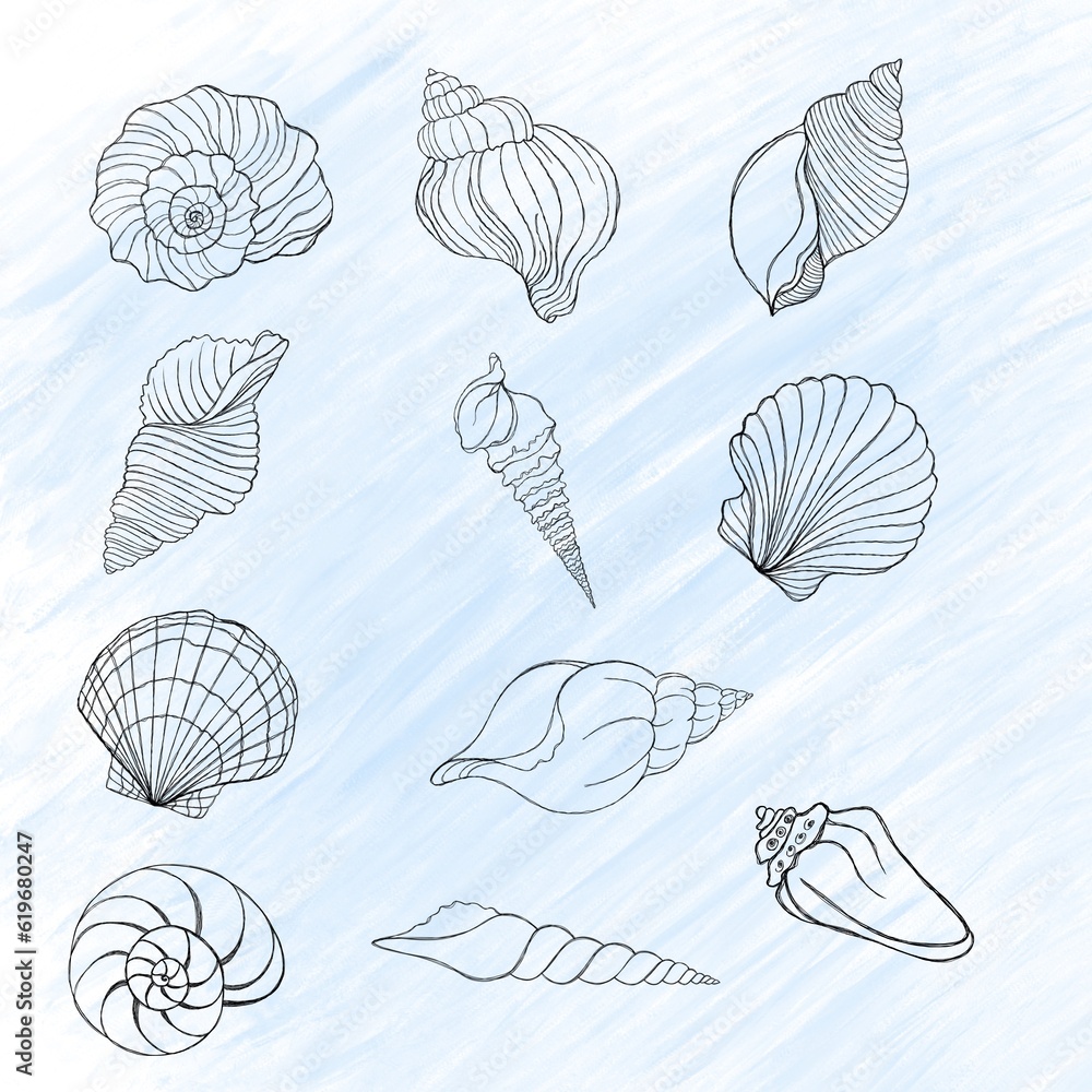 Line art illustration of a seashell on blue watercolor background ...