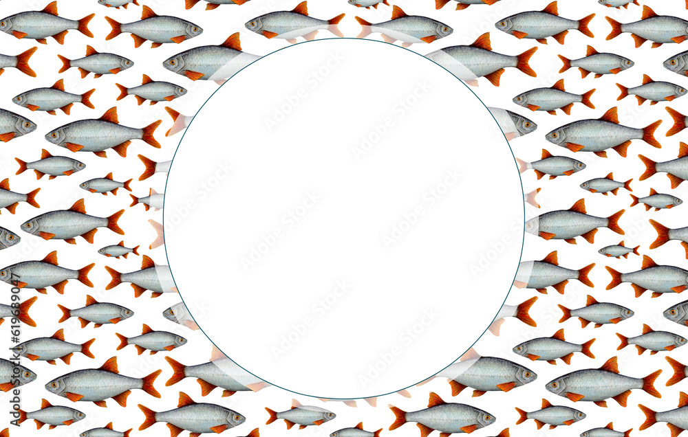 Watercolor drawing frame from fish with red fins in different sizes on ...