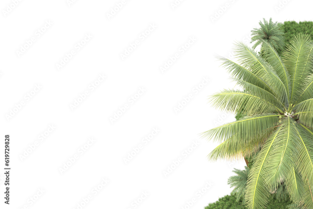 Tropical island isolated on transparent background. 3d rendering ...