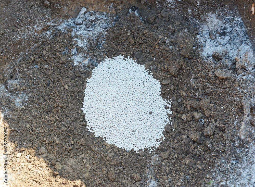 Ammonium nitrate fertilizer for fruit tree planting. Adding chemical ...