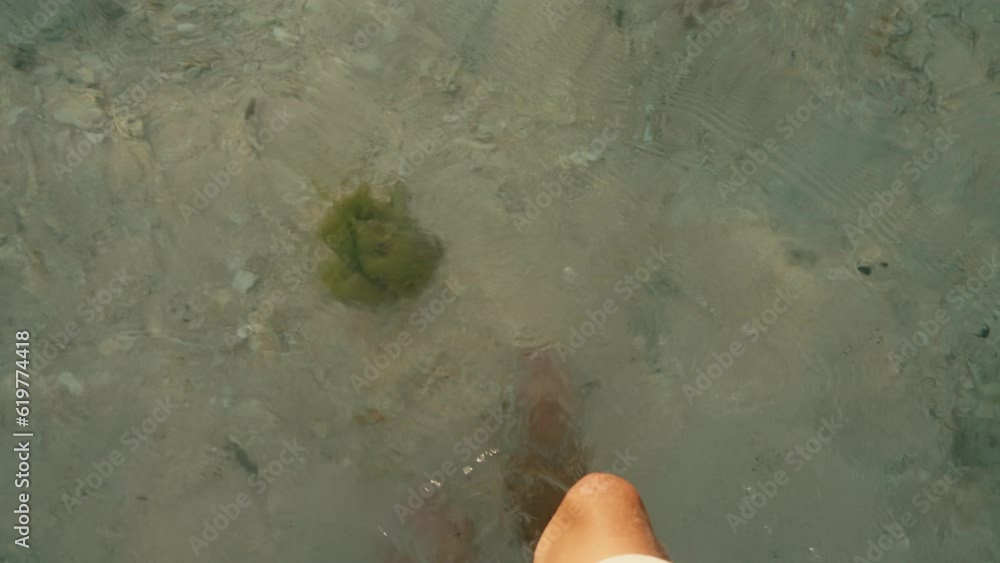 POV view of men tanned legs knee-deep in water stepping on white coral ...
