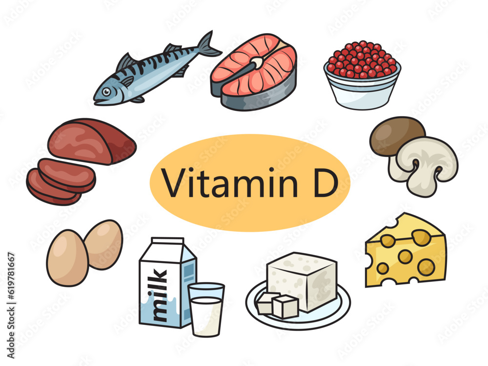foods containing vitamin D diagram schematic vector illustration ...