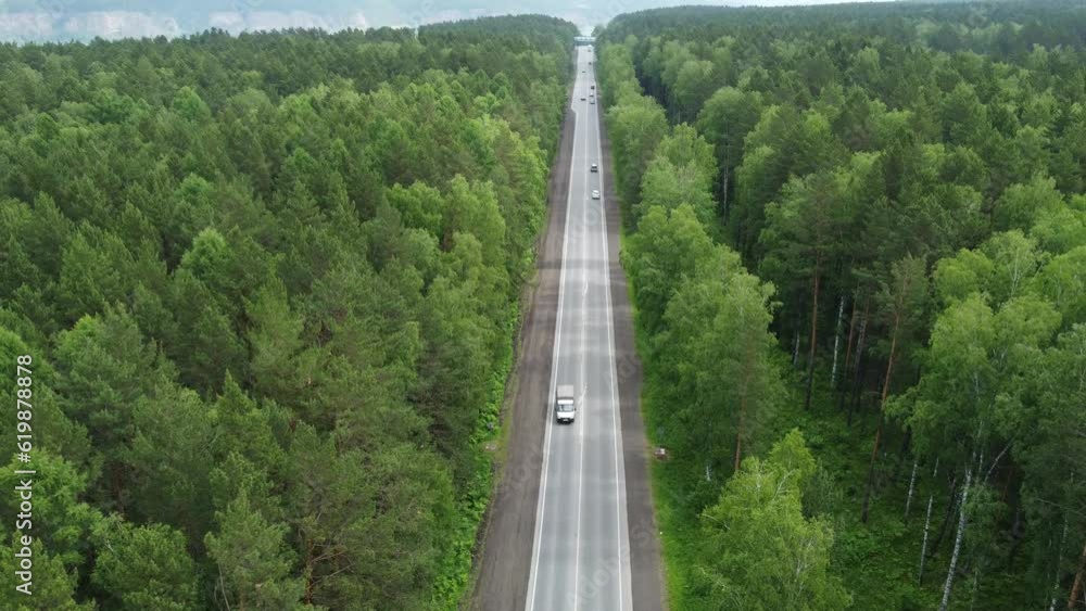 Top view of green forest landscape. Aerial nature scene of pine trees ...