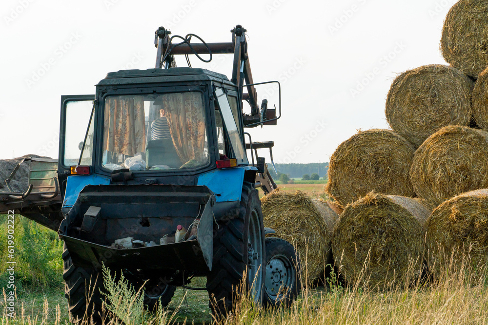 The blue tractor uses a hydraulic manipulator to stack round bales of ...