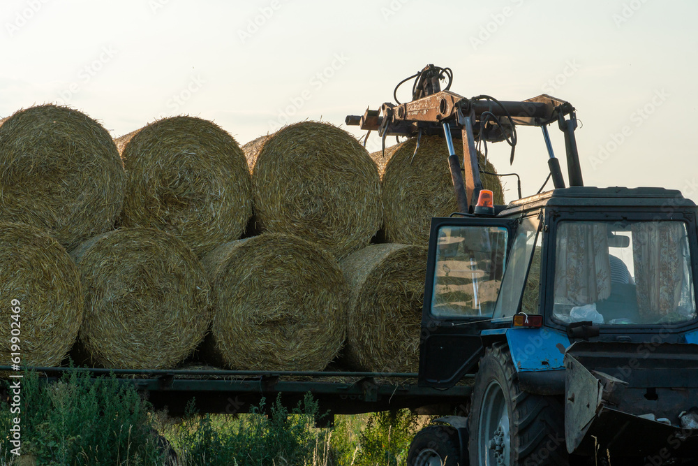 The blue tractor uses a hydraulic manipulator to stack round bales of ...