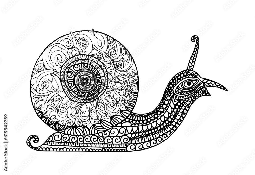 Mollusk snail in zentangle style.Simple line illustration for coloring ...