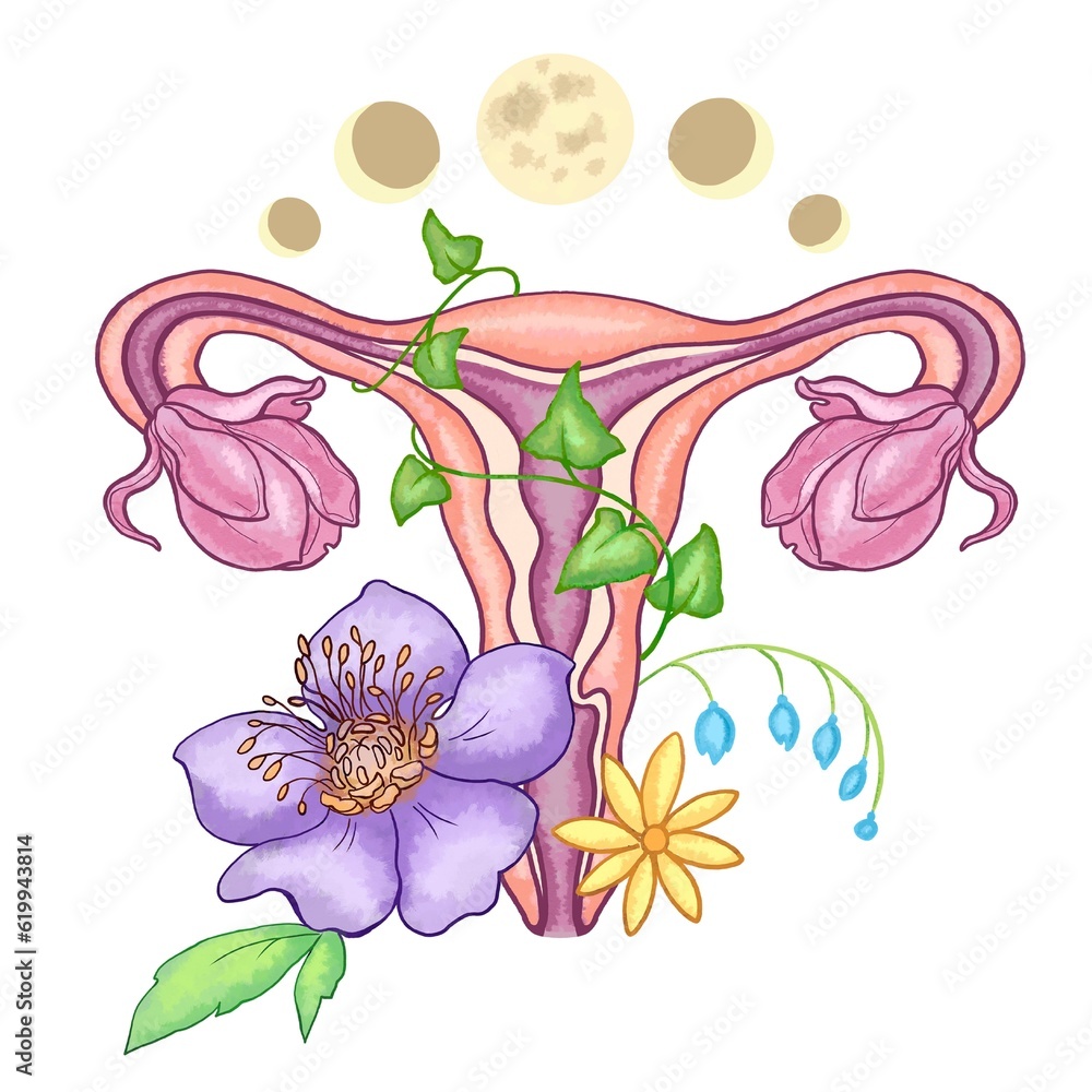 Female uterus with flowers. Drawing of the female reproductive system ...