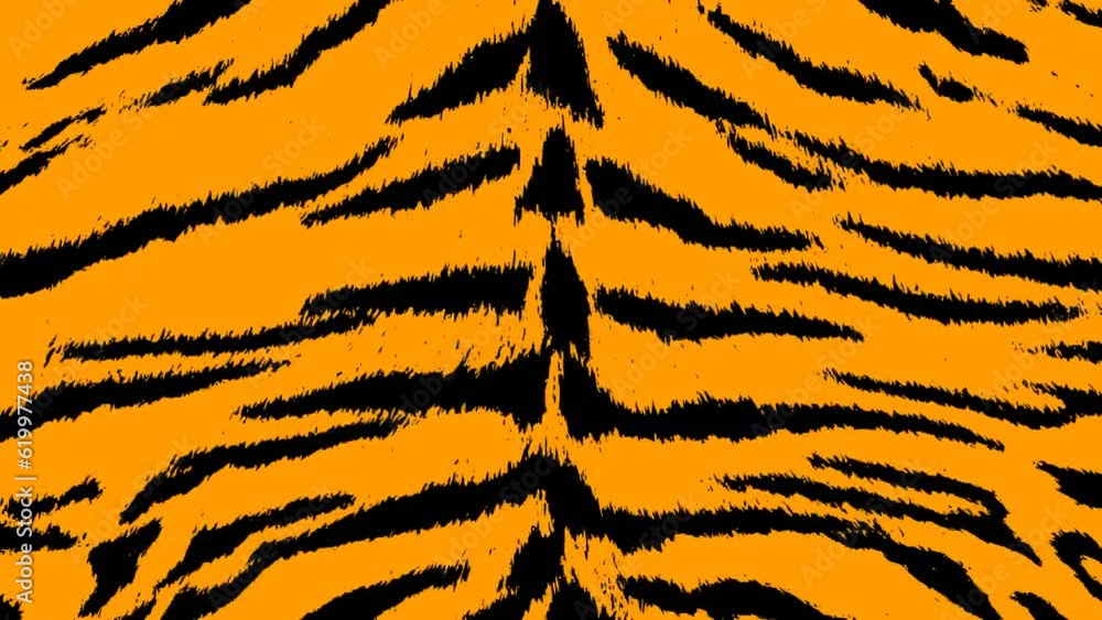 Tiger Skin Pattern Background Overlay Animation Stock Video | Adobe Stock