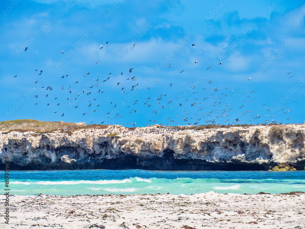 Edwards Island is an island in Lancelin. The island is 0.454 hectares ...