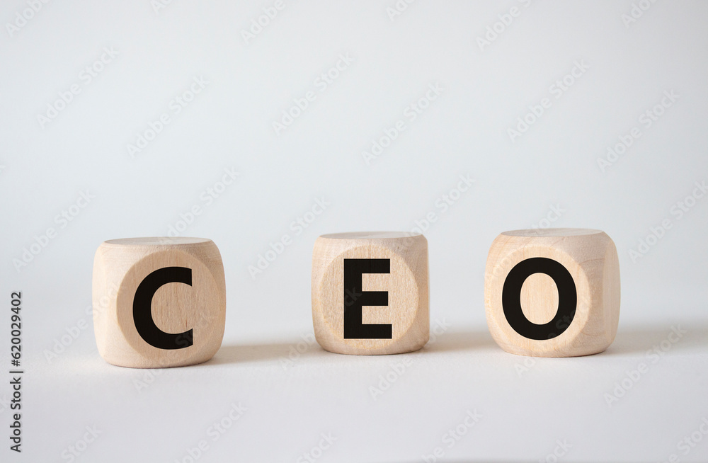 CEO - hief executive officer symbol. Concept word CEO on wooden cubes ...