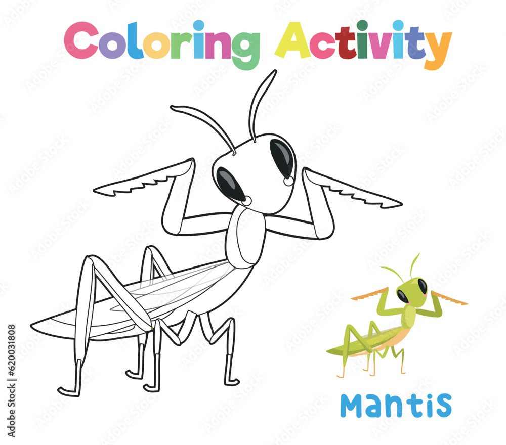 Coloring a mantis. A colouring page of the insect. Coloring activity ...