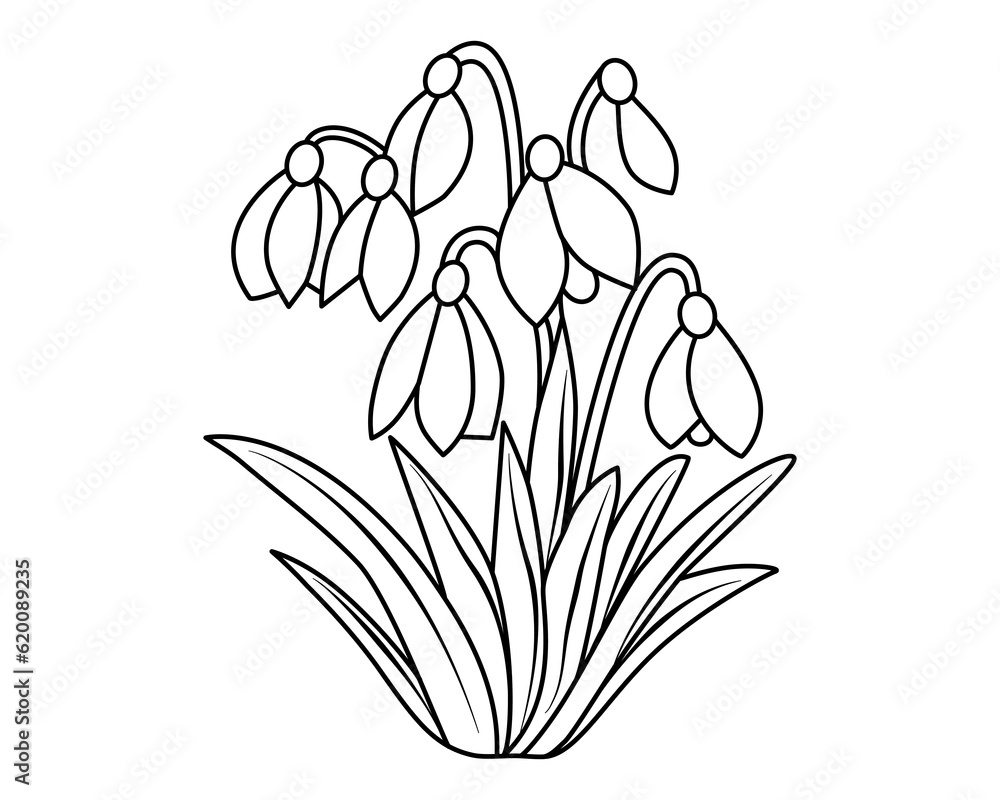 Snowdrops. Bouquet of flowers. A forest plant. Outline drawing ...