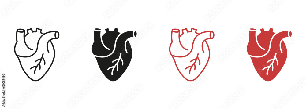 Human Heart, Cardiac Muscle Line and Silhouette Color Icon Set. Medical ...