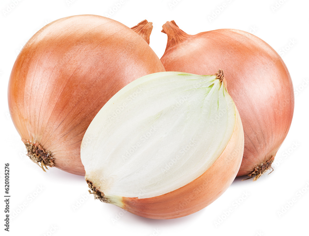 Brown skin onion bulb and cross section of onion isolated on white ...