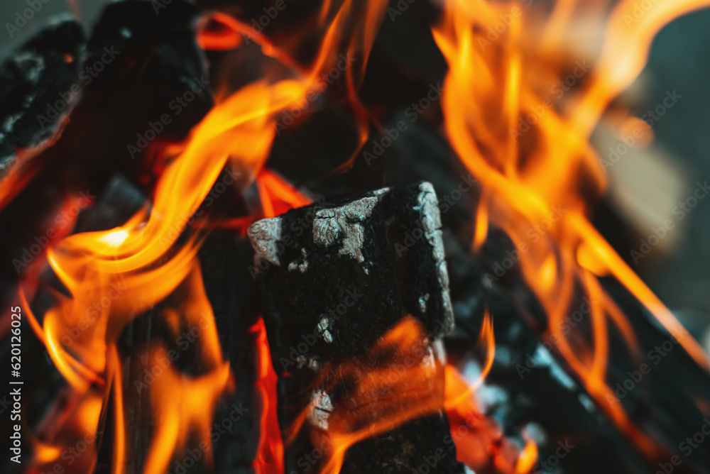 A bright flame of fire over a campfire. Wooden wood stacked in a ...