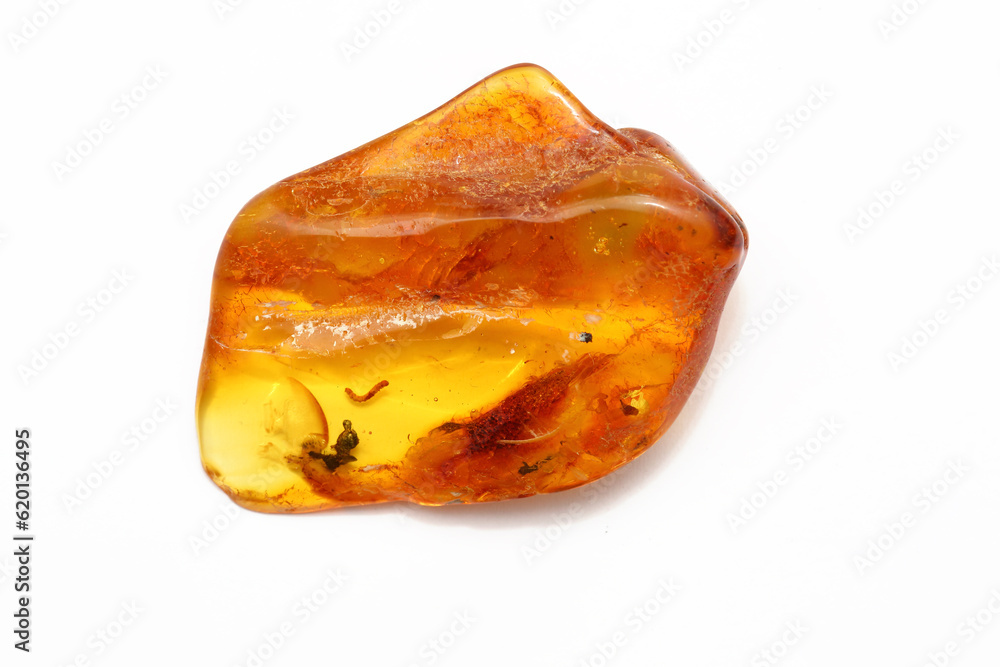 Rare insects in amber on the white background. Sun stone. Fossil ...