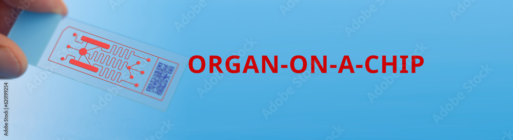 Organ-on-a-chip lab on chip device Stock Photo | Adobe Stock