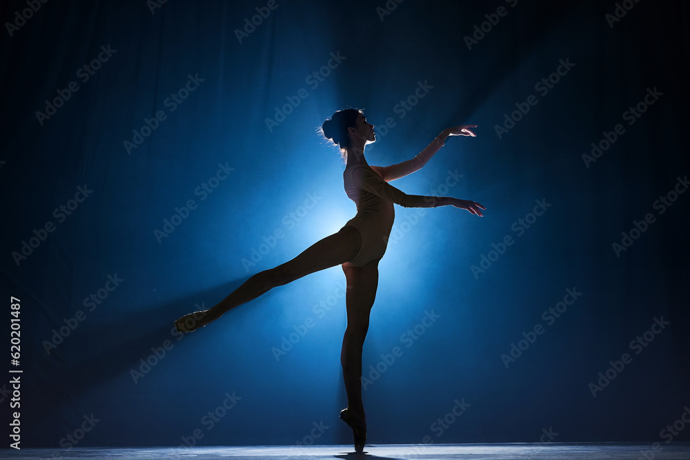 Silhouette of tender, elegant, talented woman, ballet dancer performing ...
