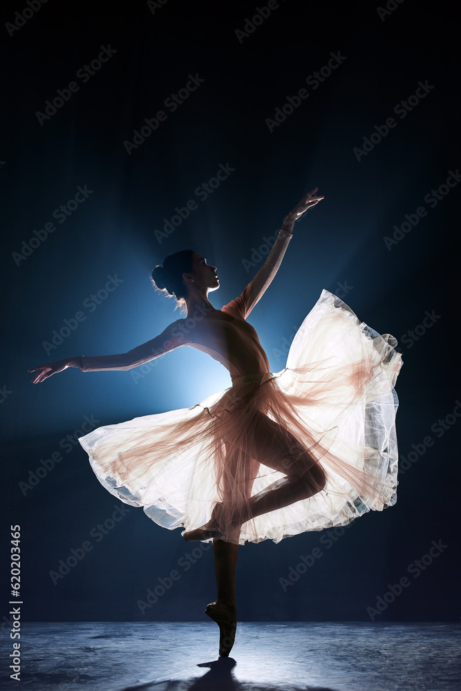 Theatrical performance. Beautiful, tender, graceful ballerina dancing ...