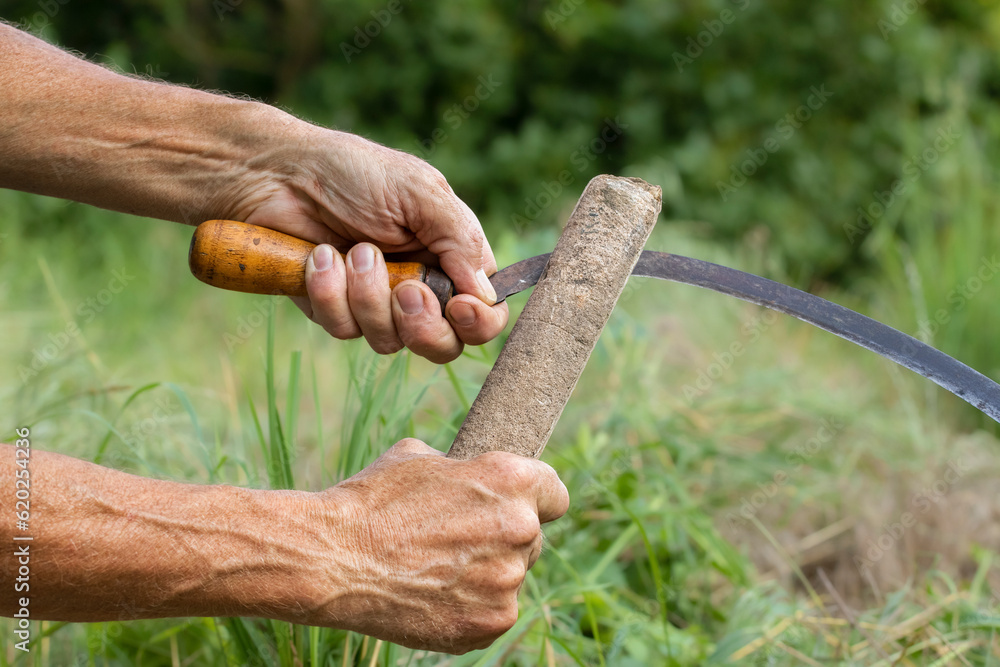 Sickle sharpening.A man sharpens a sickle with a grindstone for mowing ...