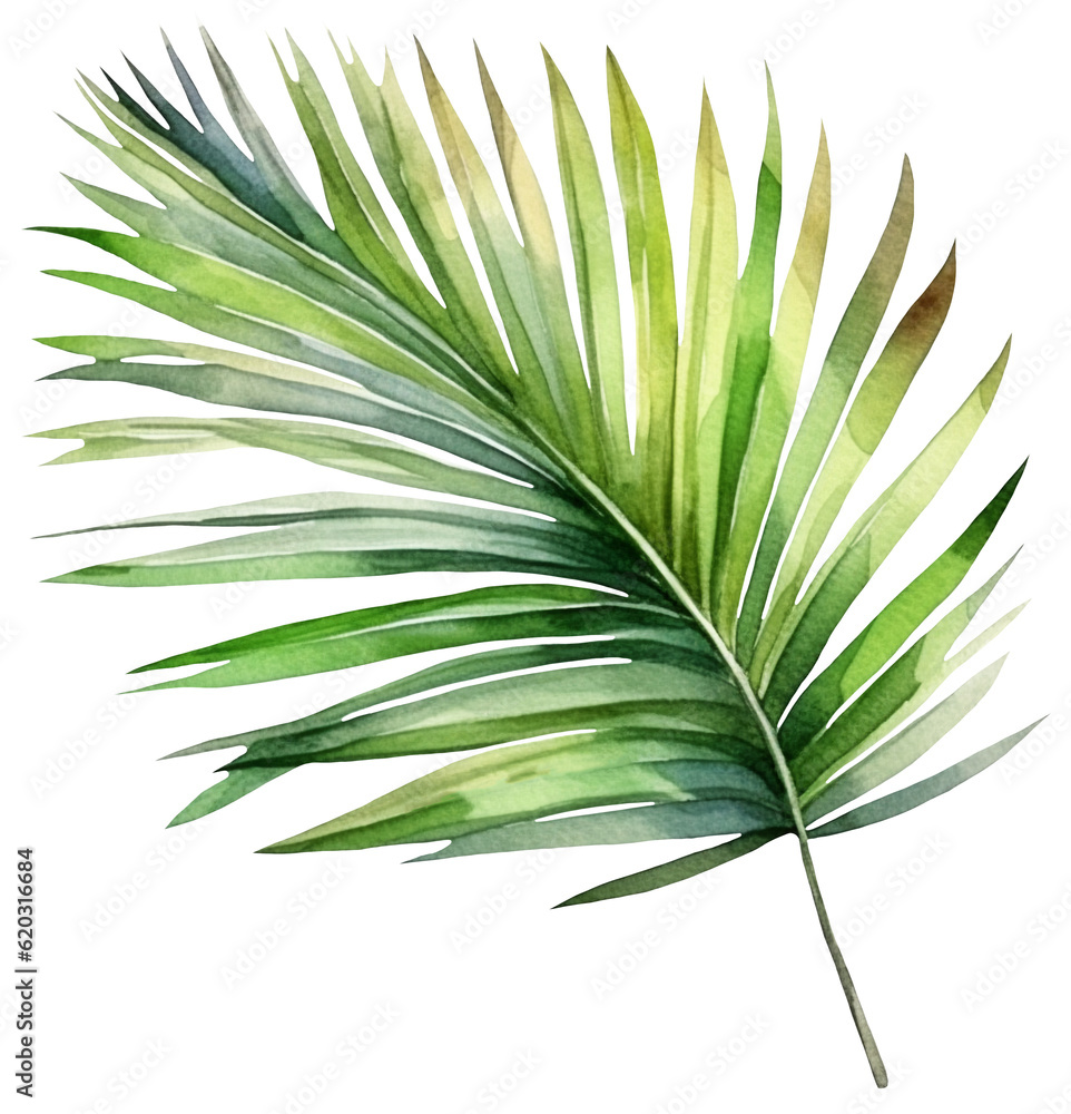 Watercolor illustration of a tropical leaf. Ai illustration ...