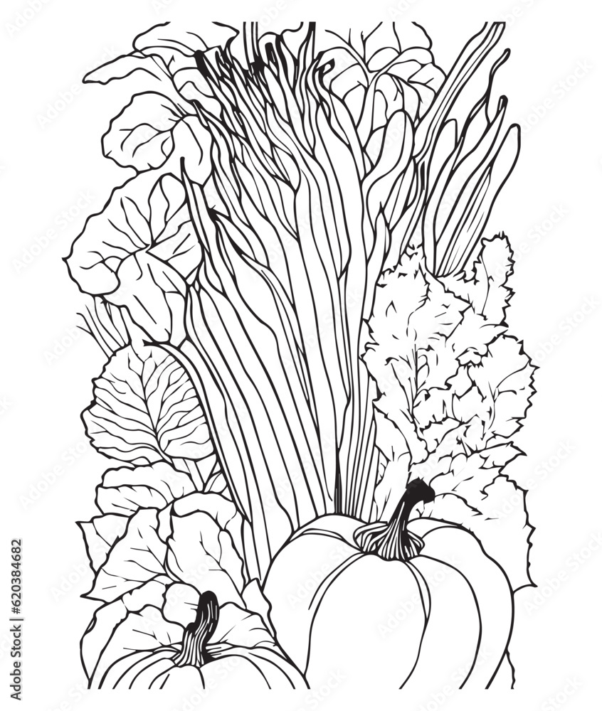 Halloween Pumpkin Coloring Pages. vegetable coloring page. pumpkin line ...