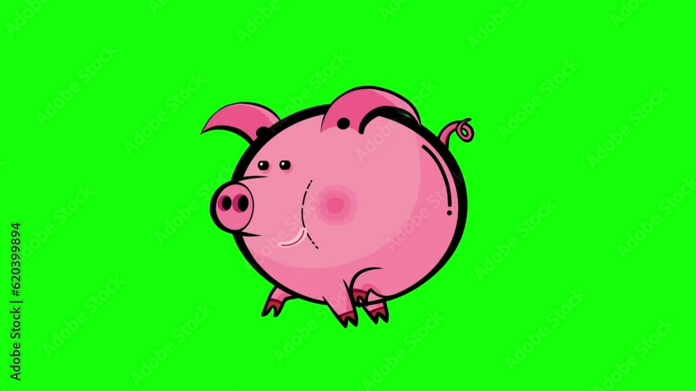Pig cartoon animated character walking greenscreen isolated. Hog can ...