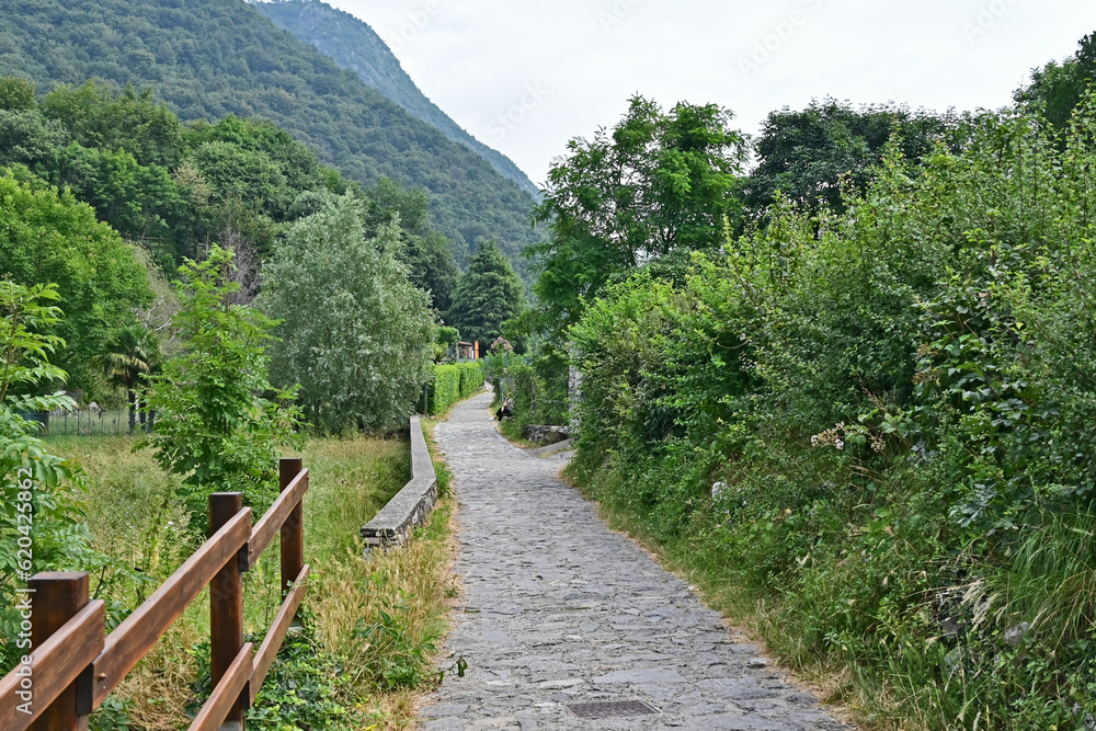 Foto de Sentiero trekking verso Civate, L'abbazia di San Pietro al ...