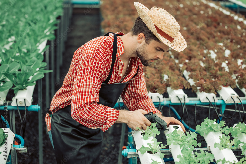 The hydroponic farm owner conducts technical inspection using handy ...