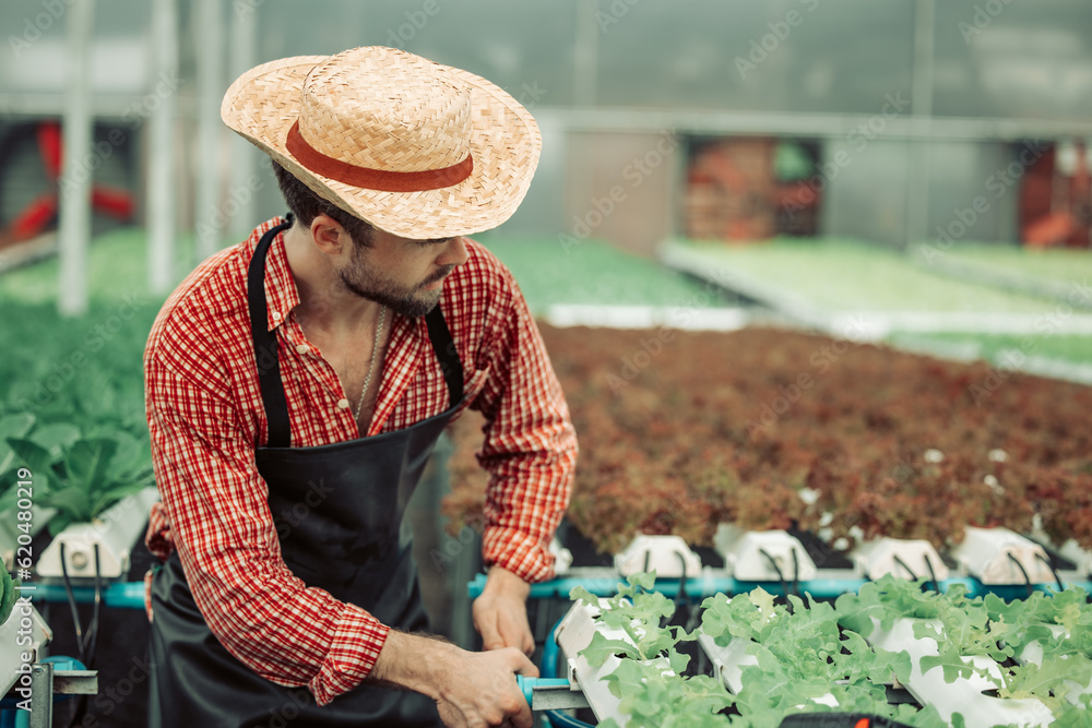 The hydroponic farm owner conducts technical inspection using handy ...